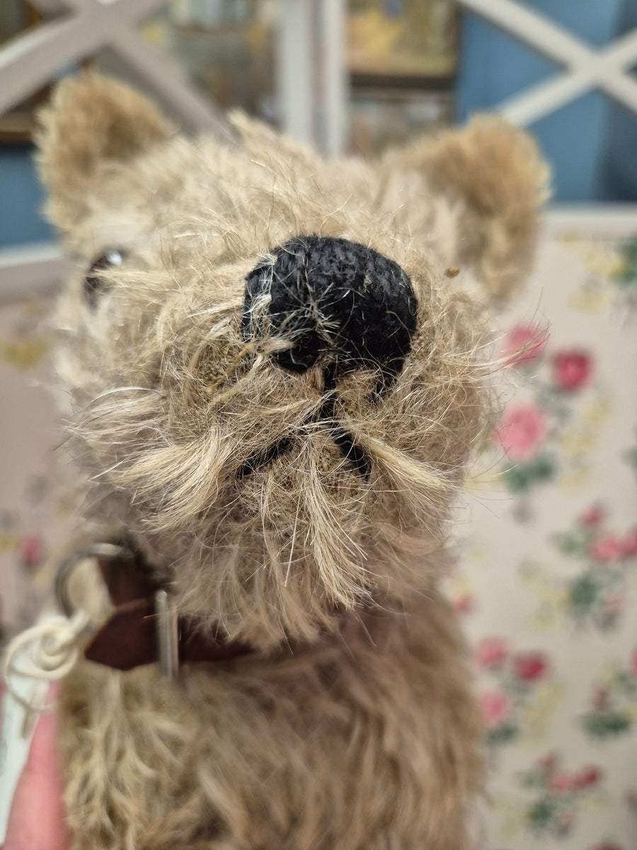 Vintage Chad Valley straw filled terrier – Kitty at Home